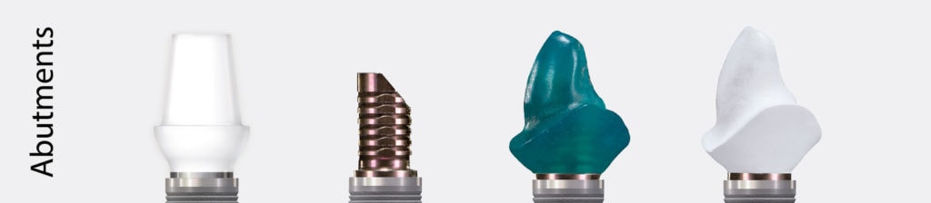 BioHPP - Analogue and digital workflows